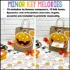 Halloween Music Game: Feed the Pumpkin Sight-Reading in Middle C ...